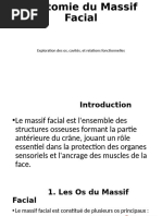 Anatomie des Os du Visage Humain | PDF | Anatomie humaine | Appareil ...