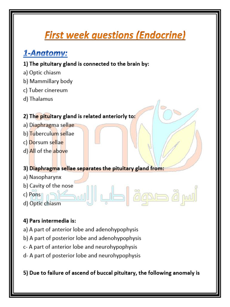 First Week Questions - Endocrine - SAHWA FAMILY | PDF | Thyroid | Hormone