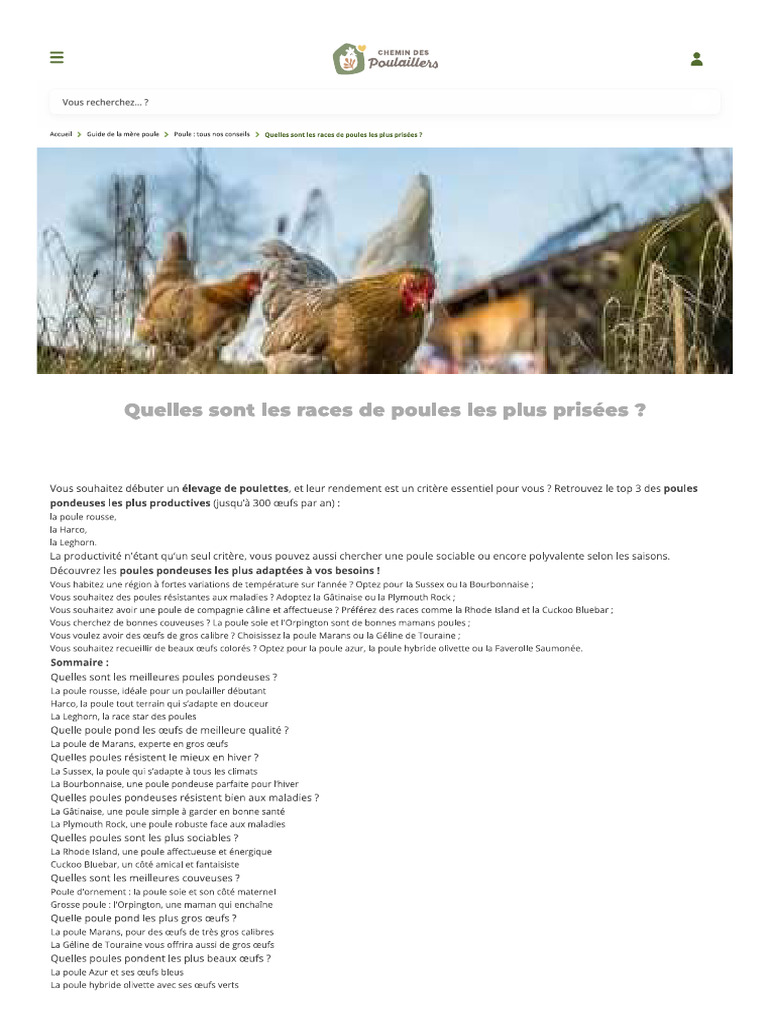 Les Types de Poules Pour L'élévage | PDF