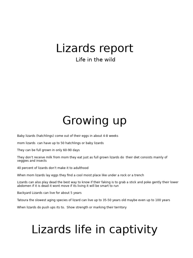 Lizards Report: Life in The Wild | PDF