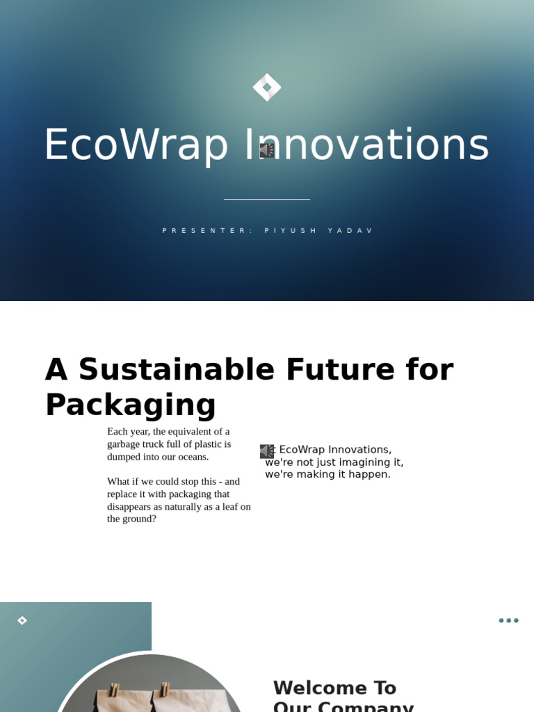 EcoWrap Innovations | PDF | Innovation | Sustainability
