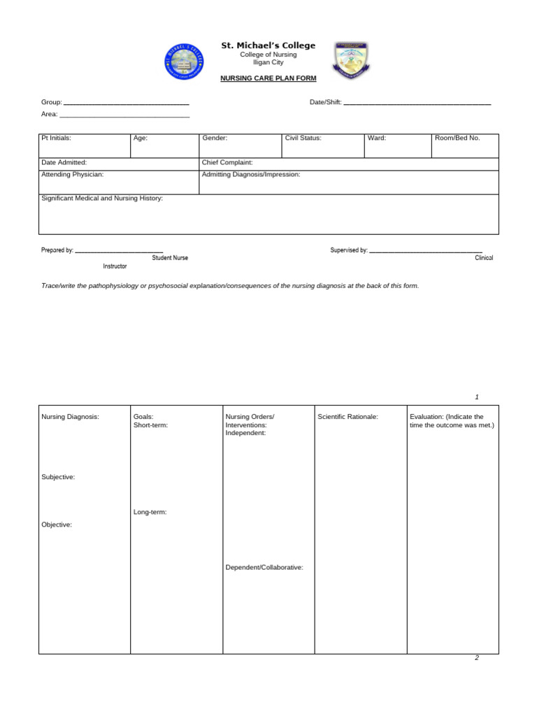 nursing-care-plan-form | PDF