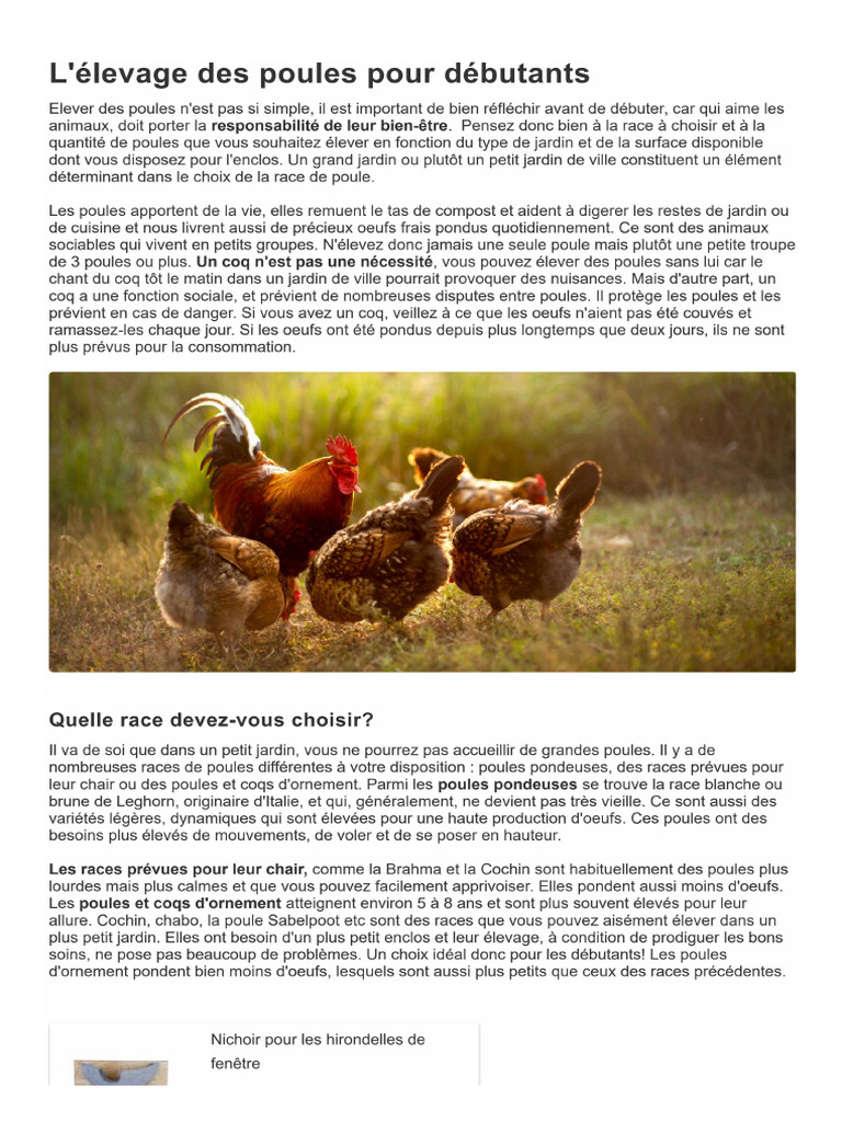 L'élevage Des Poules Pour Débutants | PDF