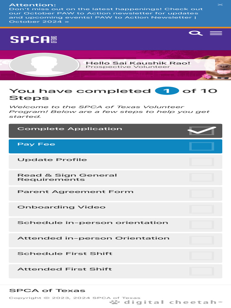 VMS Intake Checklist | PDF