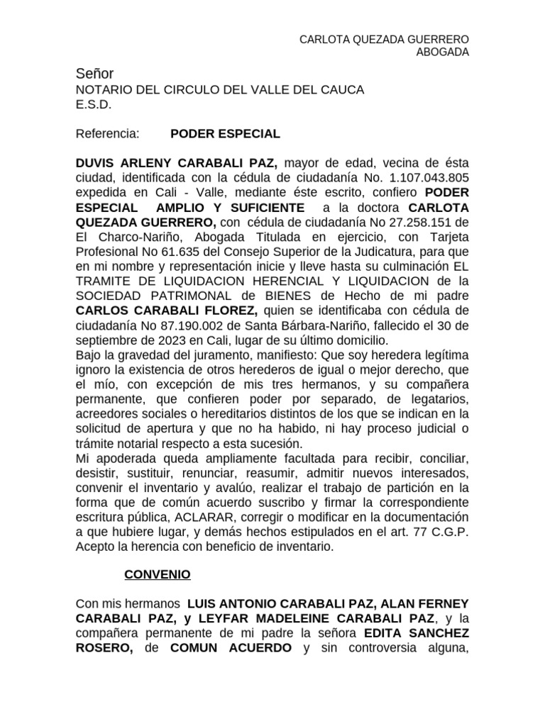 Poder Sucesion - Duvis Carabali - España | PDF