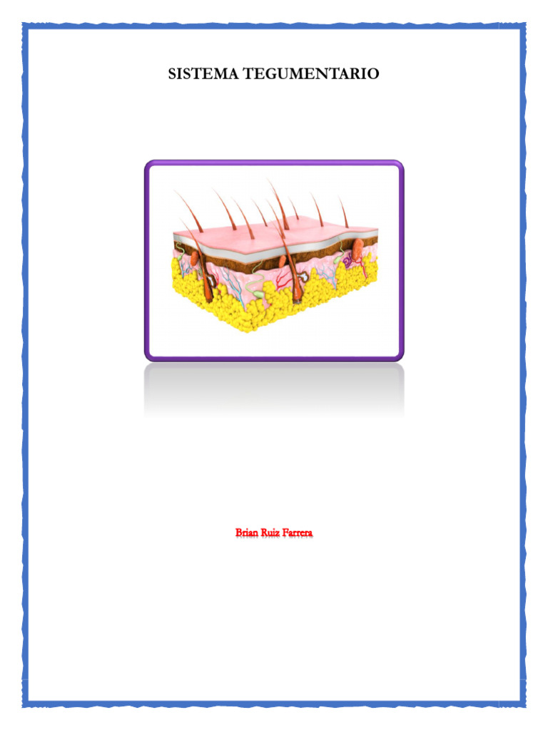 Sistema Tegumentario | PDF | Clavo (anatomía) | Sistema tegumentario