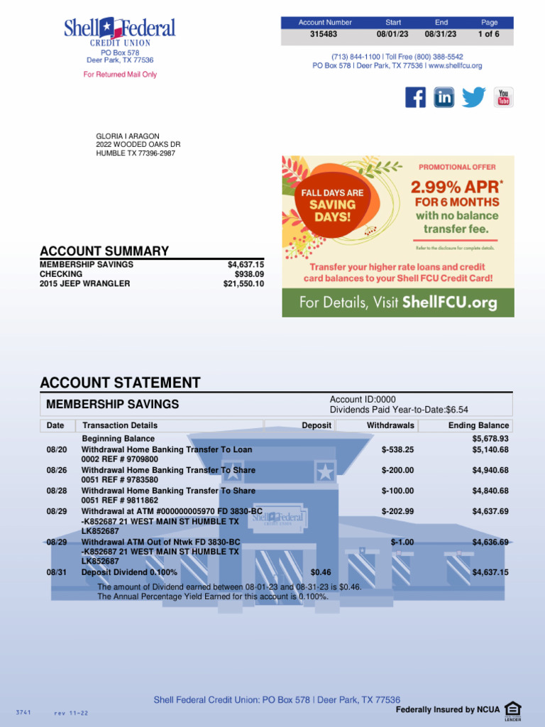 Account Statement | PDF | Transaction Account | Overdraft