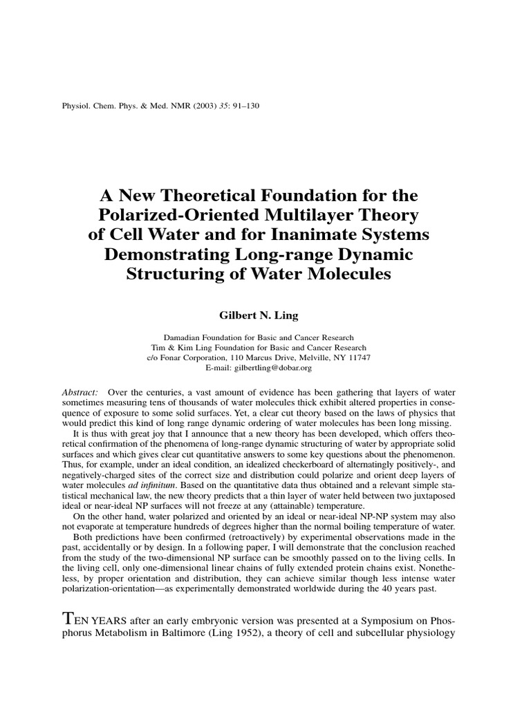 Pom Water Theoretical Foundation | PDF | Adsorption | Phases Of Matter