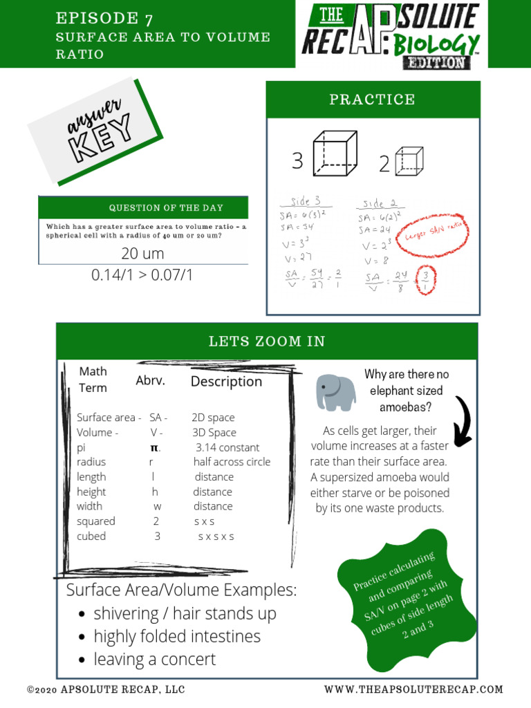 007 SG Key - The APsolute RecAP Biology | PDF