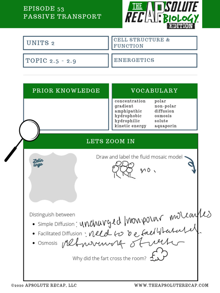 Understanding Passive Transport Mechanisms | PDF