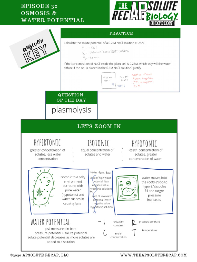 030 SG Key - The APsolute RecAP Biology | PDF