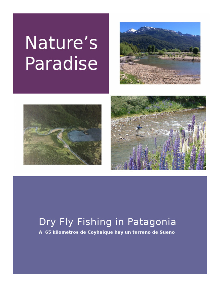 Rio Paloma Property | PDF