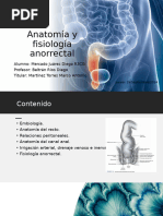 Anatomía y Fisiología Anorectal | PDF | Recto | Sistema digestivo