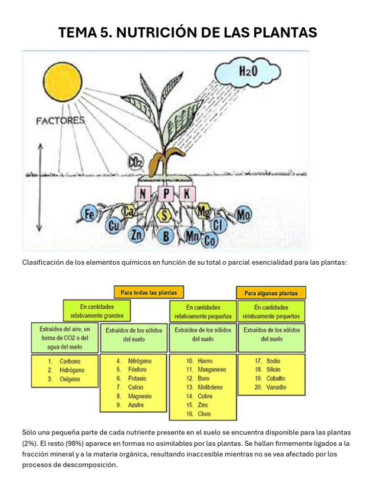 Nutrientes Esenciales para Plantas | PDF | Calcio | Suelo