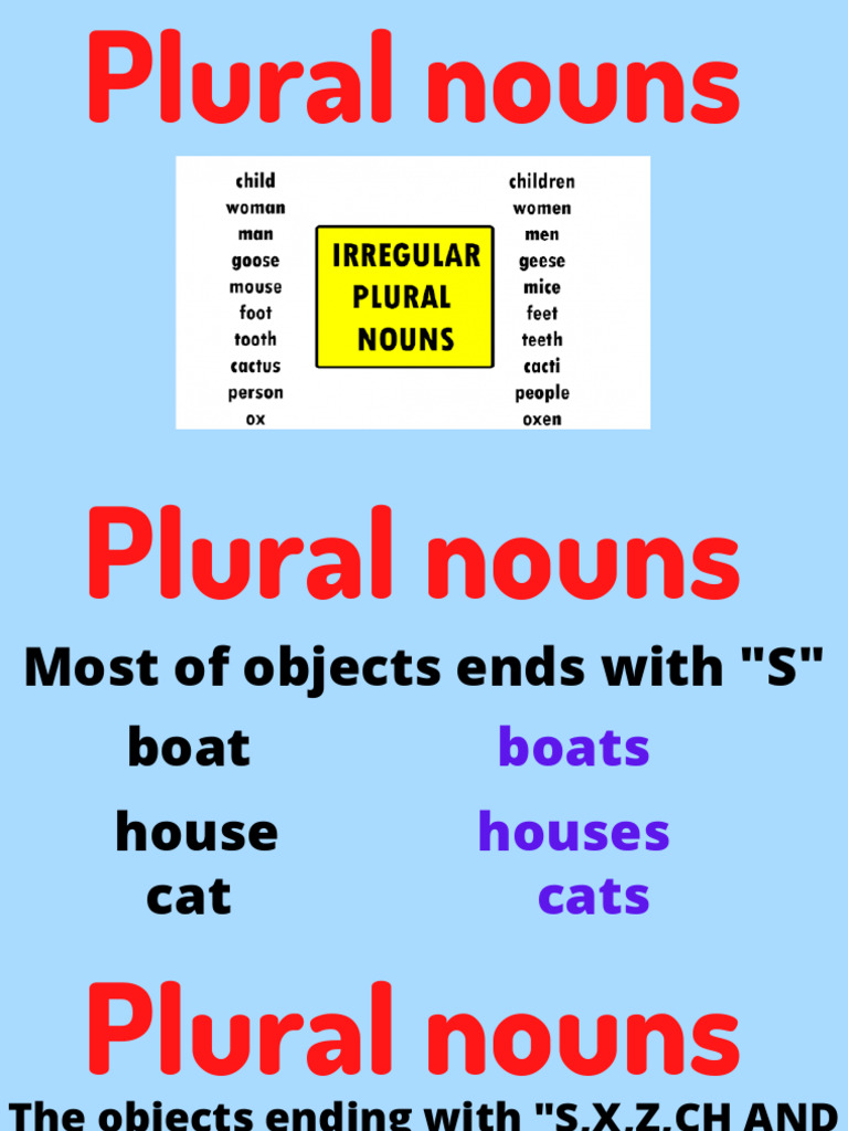 8 Plural Nouns | PDF