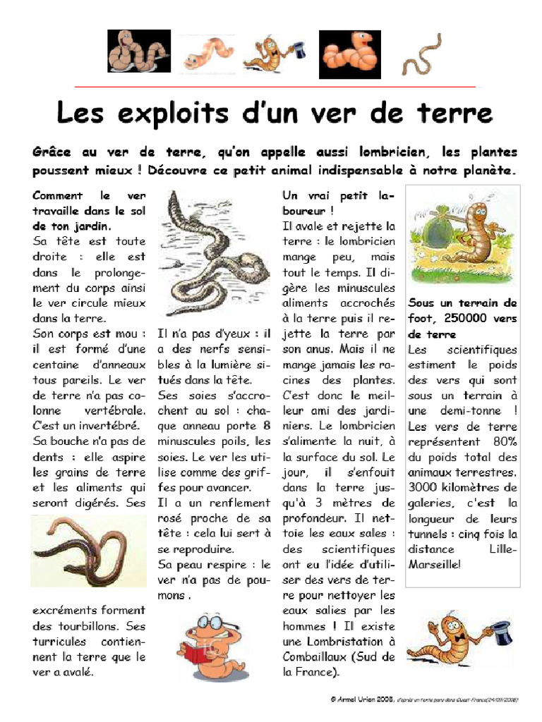 Lecture Documentaire Le Ver de Terre | PDF