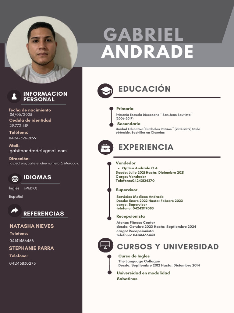 Curriculum Gabriel Andrade. | PDF