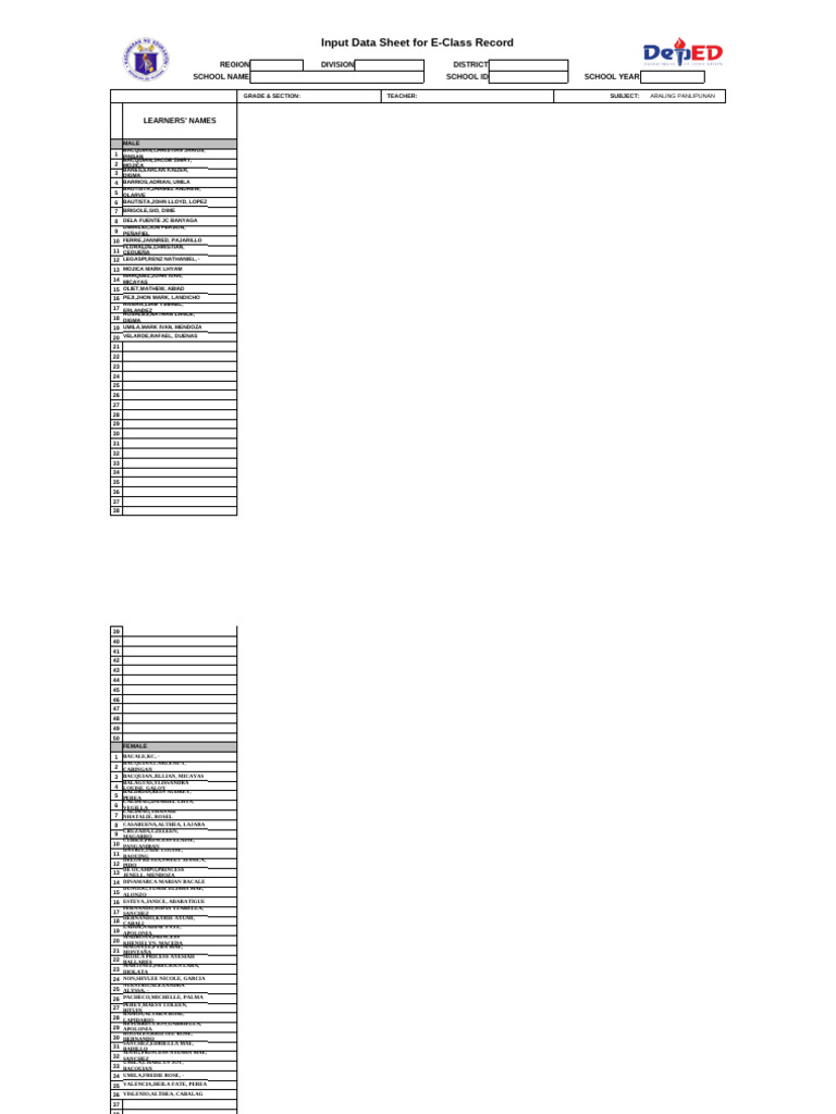 E-Class Record Input Sheet | PDF