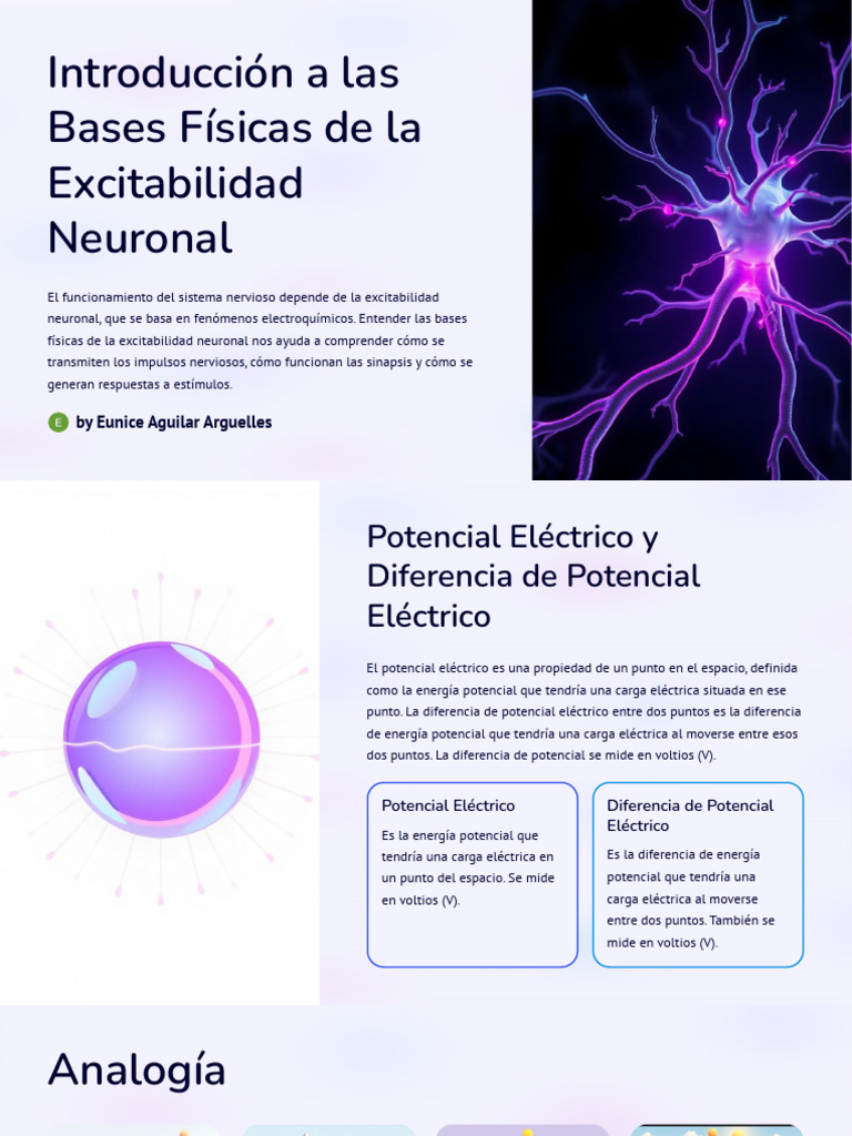 Introduccion A Las Bases Fisicas de La Excitabilidad Neuronal | PDF ...