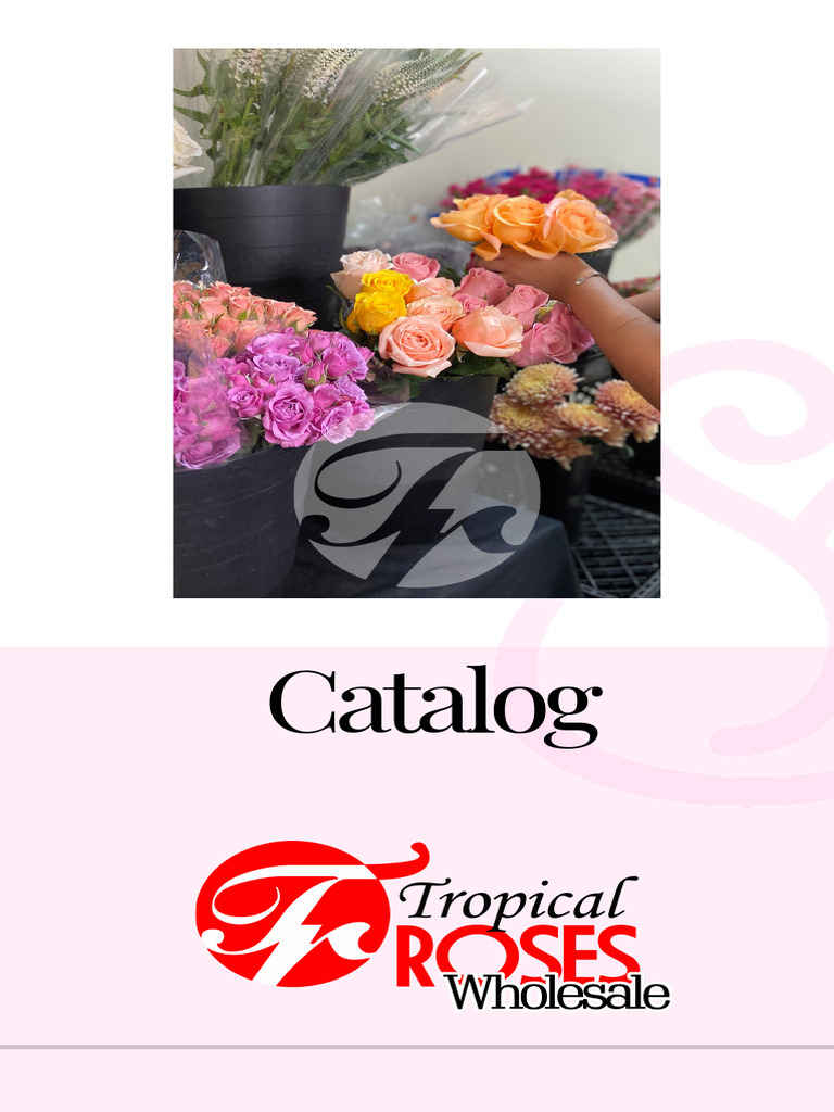Wholesale Tropical Roses Catalog | PDF