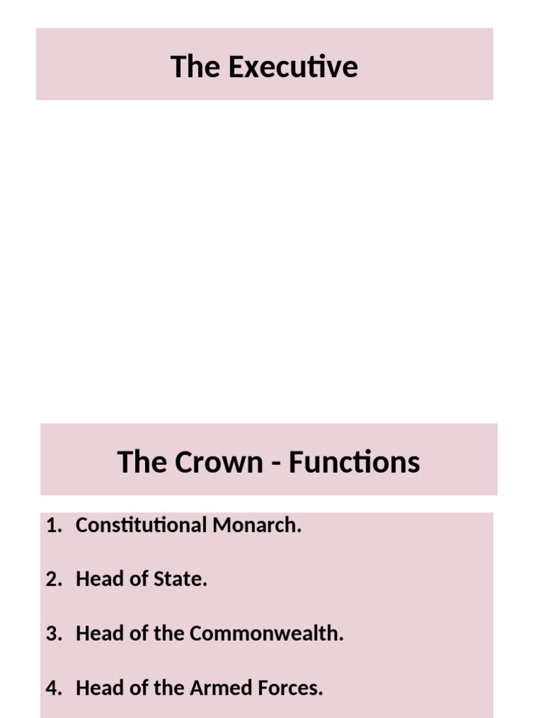 The Executive | PDF | Prime Minister | Government