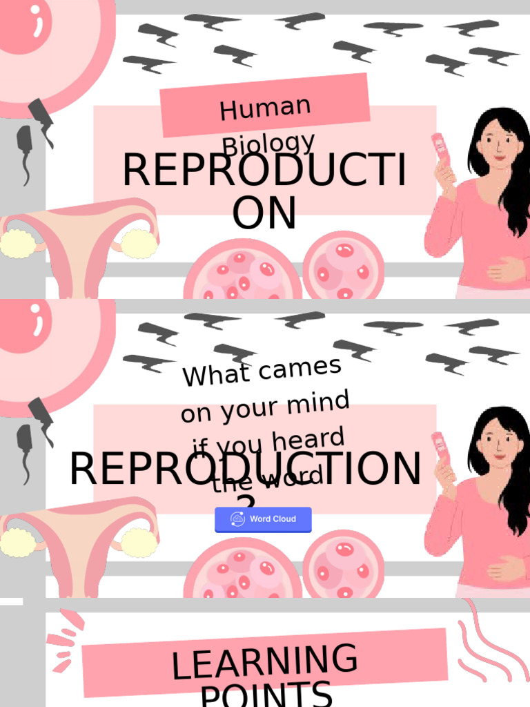 Reproduction Biology Presentation in A Bold Pink Style | PDF | Sexual ...