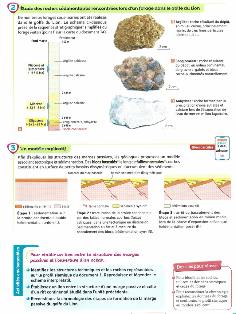 Marge Passive 2 | PDF