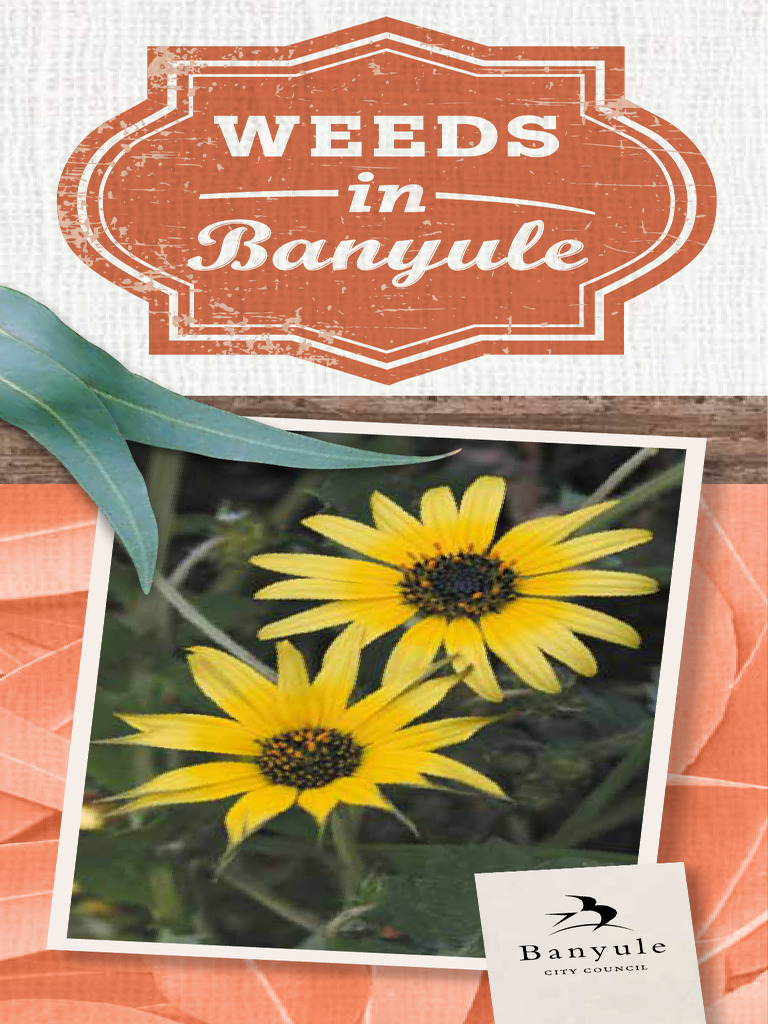 Weeds Control Guide for Banyule | PDF | Weed | Trees