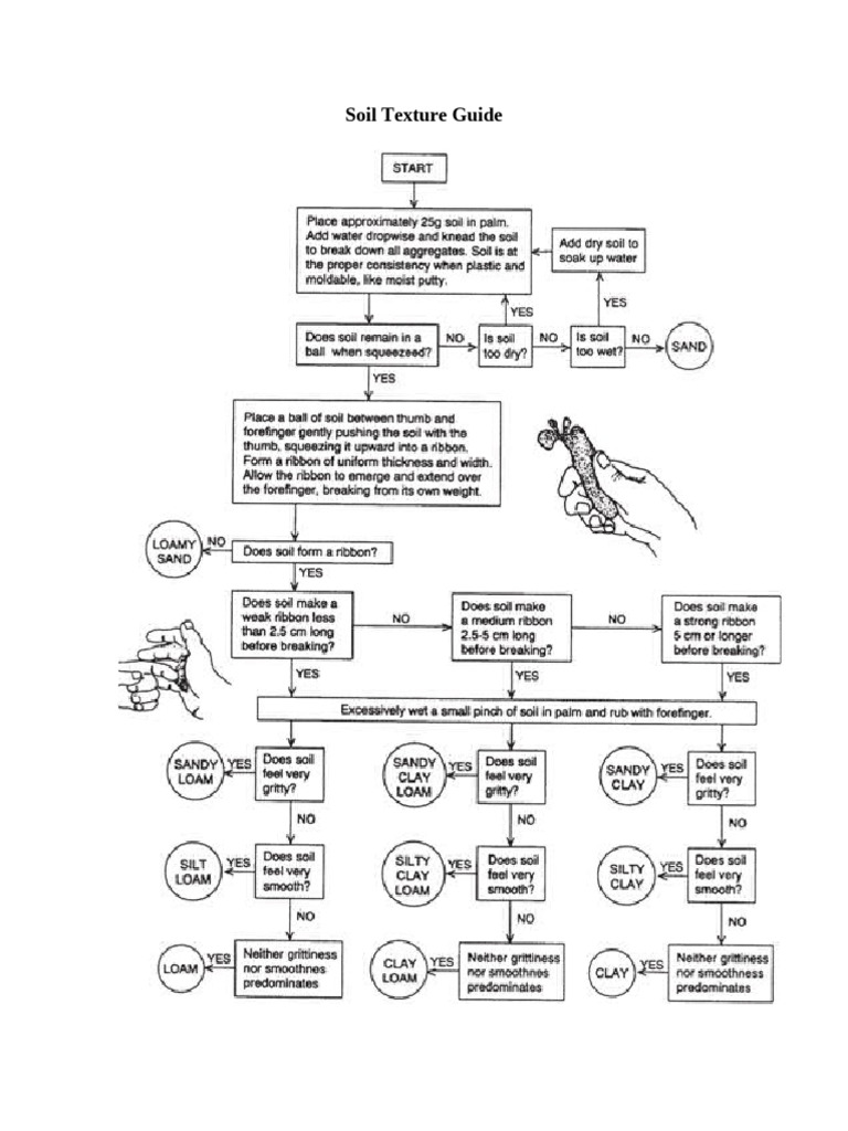 Soil Texture Guide-1 | PDF