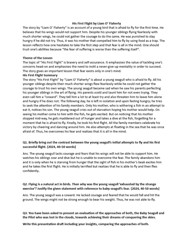 Stories About Flying | PDF | Airplane