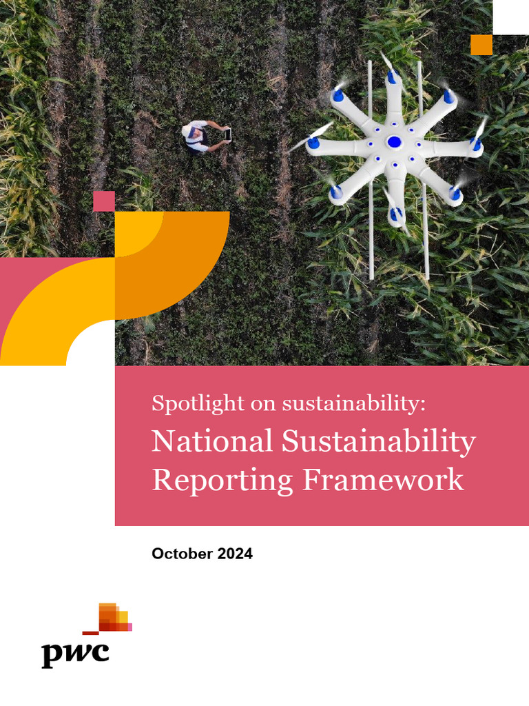 PWC My National Sustainability Reporting Framework | PDF ...