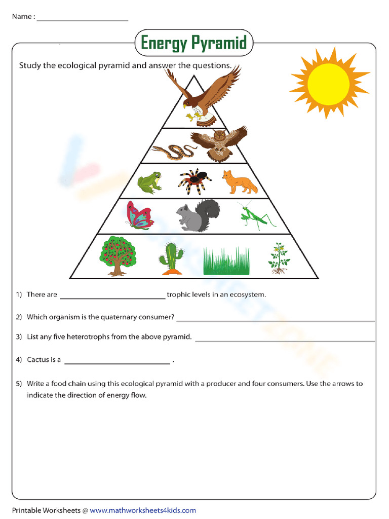 Energy Pyramid 2 | PDF