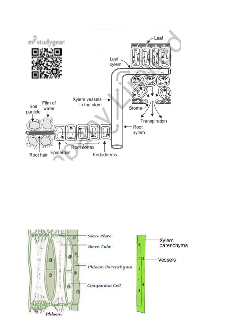 Diagram New Imp | PDF