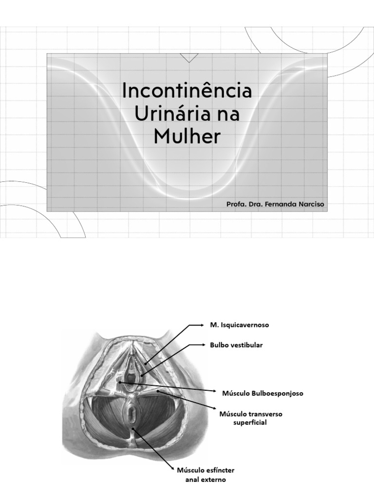 Slides-IU SM-2024-2 | PDF | Micção | Eletromiografia