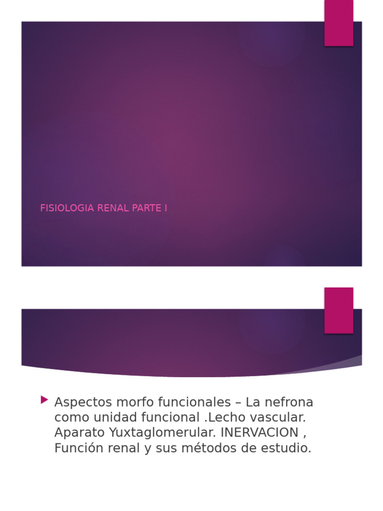 RENAL FISIO (2)_124444 | PDF | Riñón | Órgano (anatomía)