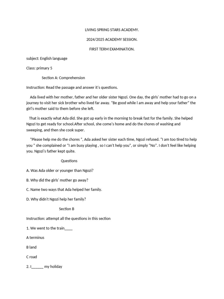 Primary 5 English Examination | PDF