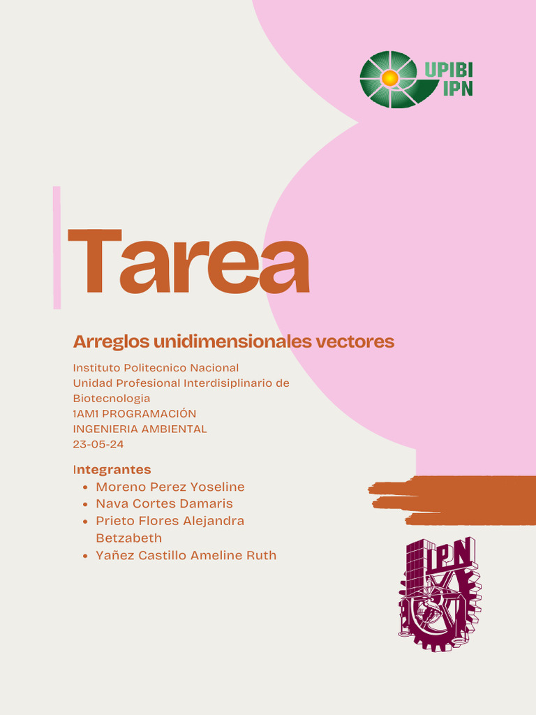 Tarea de Programación-Vectores | PDF | Algoritmos | Ciencias de la Computación