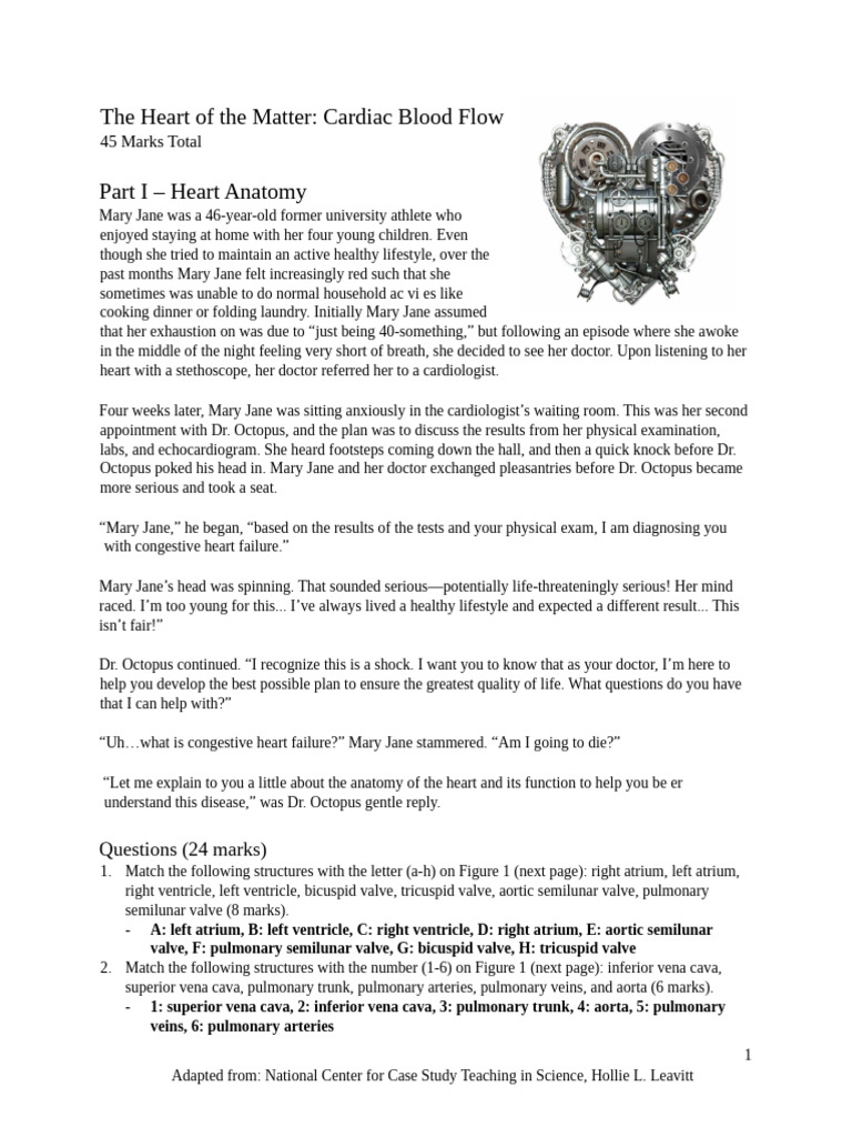 Case Study 1 1050FA2023 - Cardiac Blood Flow | PDF | Heart Valve | Heart
