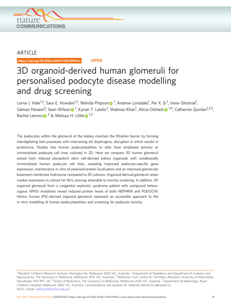 3D Organoid Glomeruli for Podocyte Research | PDF | Biology | Cell Biology