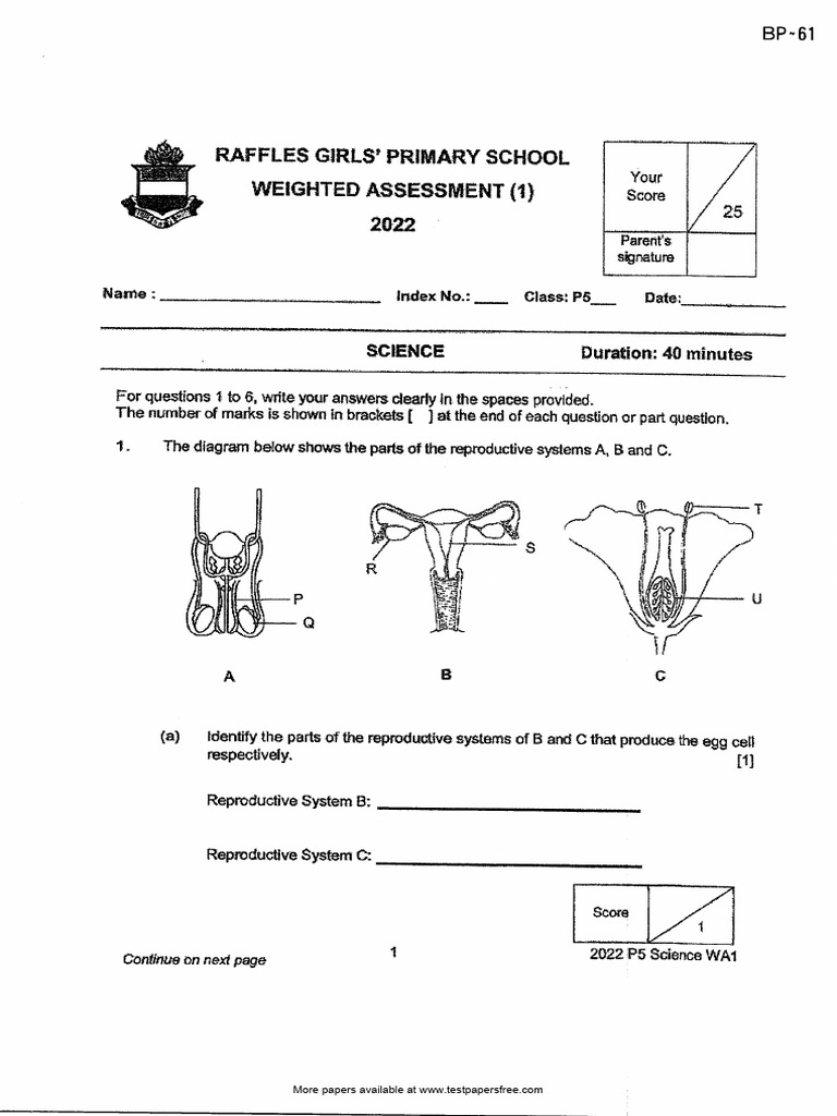 P5_Science_2022_WA1_raffles | PDF