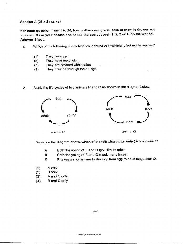 Primary 5 - Science - 2021 - SA2 - 5 | PDF