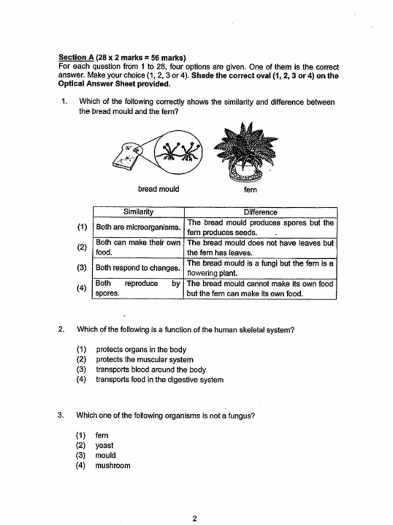 Primary 5 - Science - 2022 - SA2 - 4 | PDF