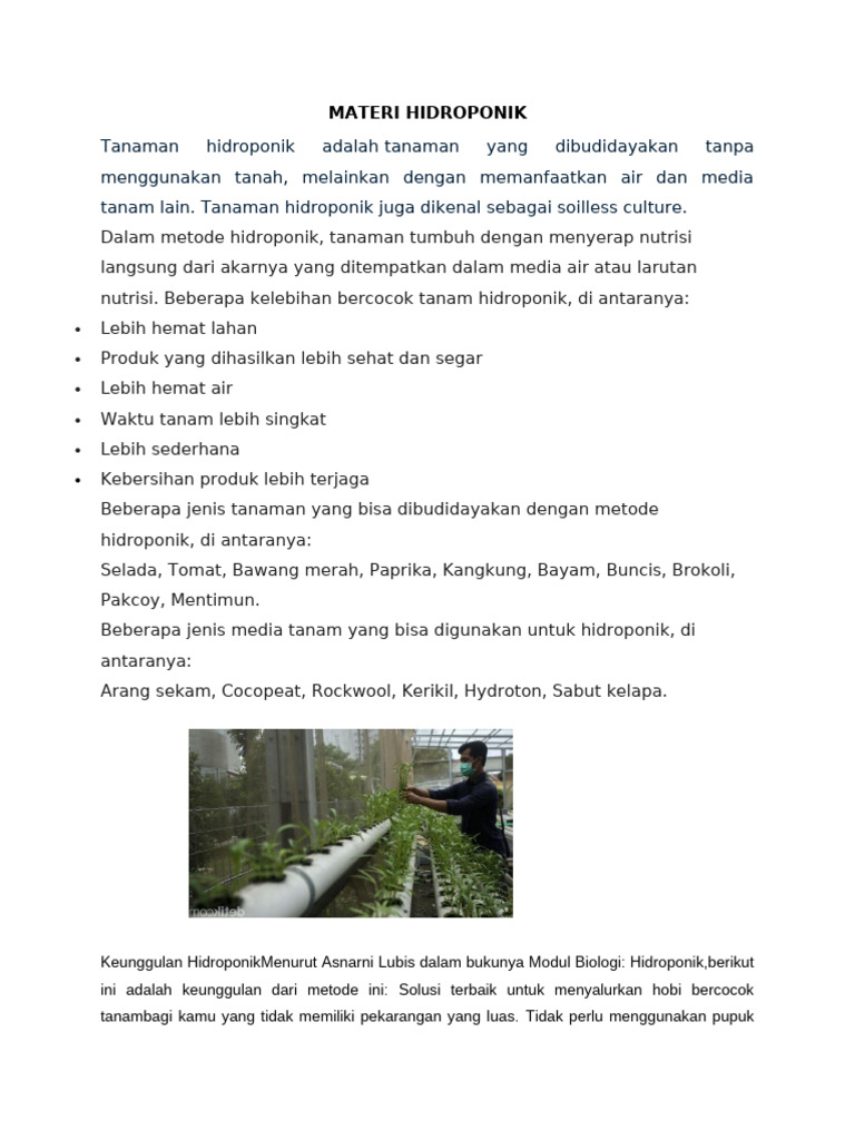 Materi Hidroponik | PDF