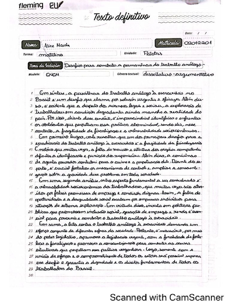 Alice Timm Manta (02012201) | PDF