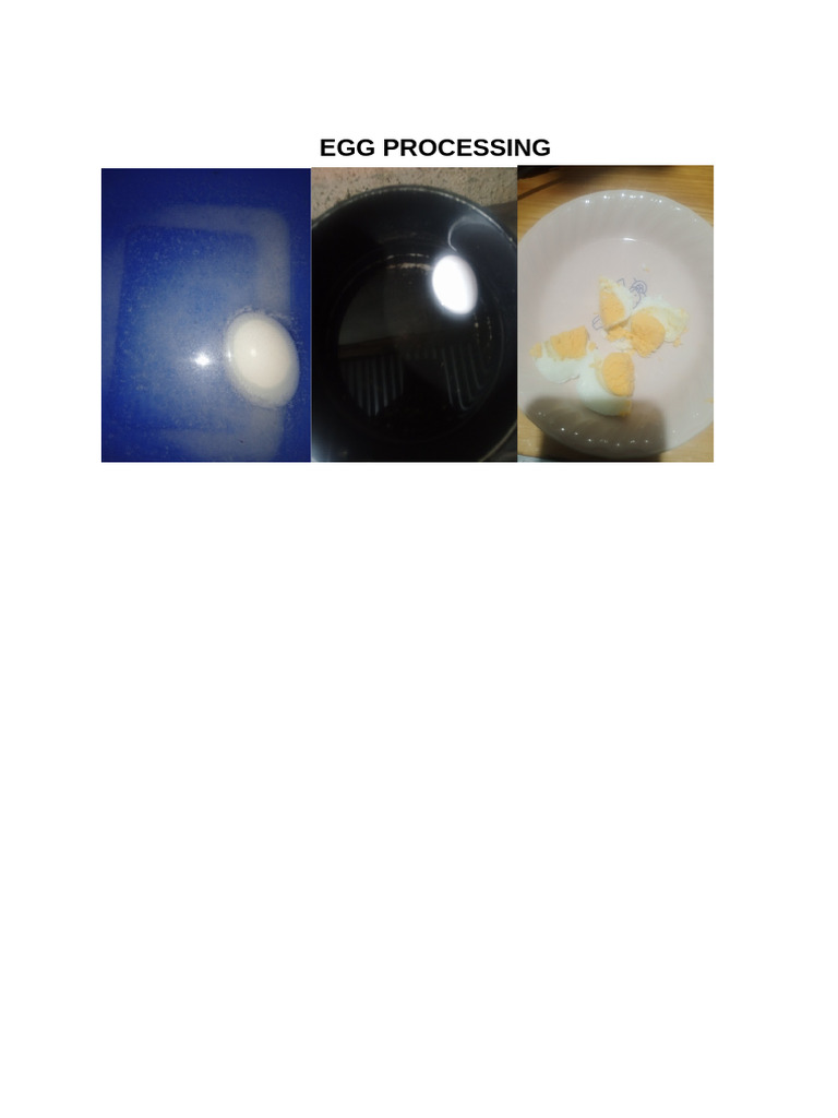 Egg Processing | PDF