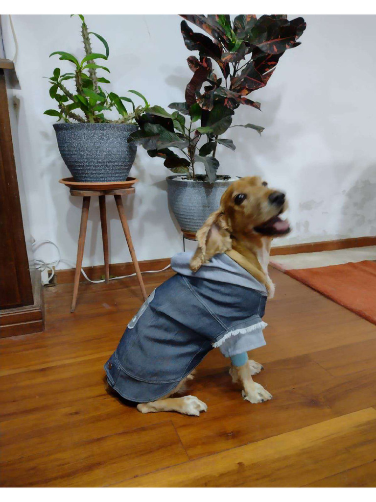 Img 20250103 Wa0092 | PDF