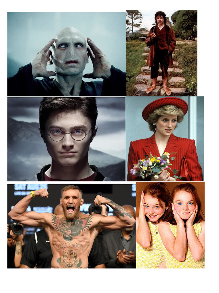 Pic Describe | PDF