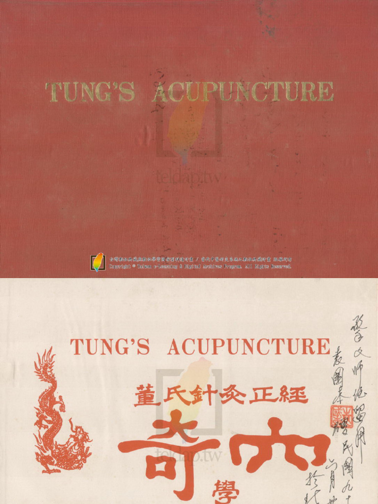 Acupuntura Tung's Libro Original | PDF