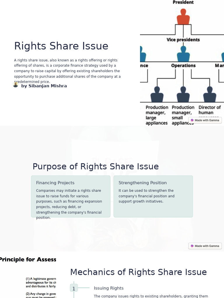 Rights Share Issue | PDF | Option (Finance) | Underwriting