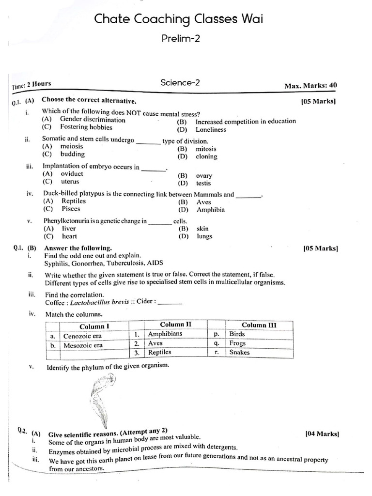 10 em S-2 Prelim-2 | PDF